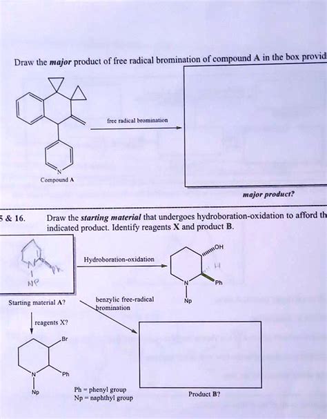 Solved Draw The Major Product Of Free Radical Bromination Of Compound