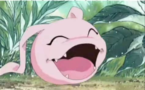 咱就是说，年糕兽比滚球兽成熟多了资源下载 下载狗工具