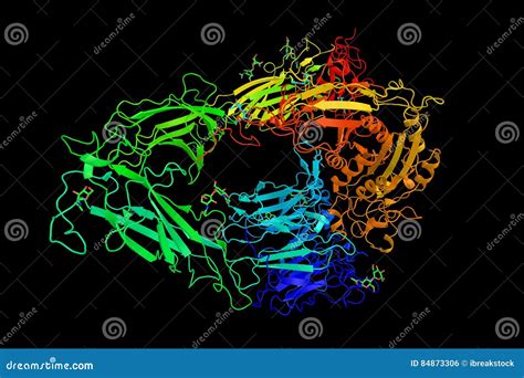 Ecm Interactions Stock Illustrations 1 Ecm Interactions Stock