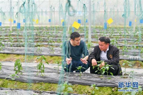 一對職業農民伕婦的“幸福轉身” 組圖 圖片中國中國網