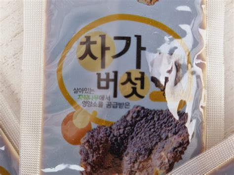 차가버섯 효능과 분말 가루 먹는 방법 및 파는 곳 가격비교 네이버 블로그