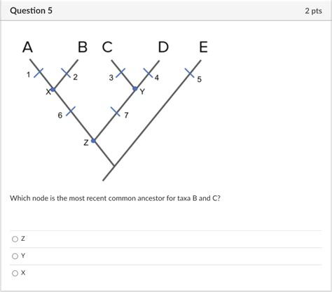 Solved Question 5 2 Pts A в С D E 2 5 Y Z Which Node Is The