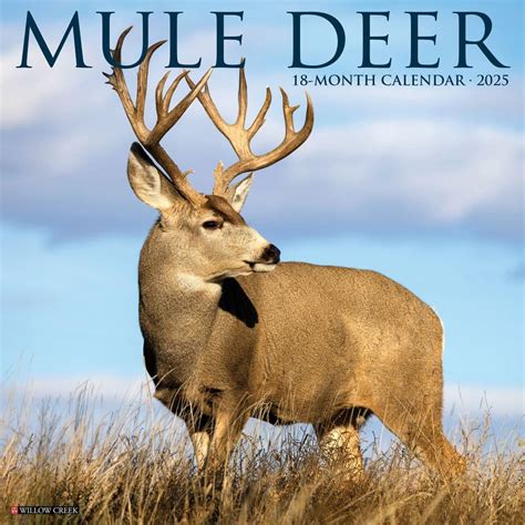 Deer Movement Calendar 2025 Mercy Kaycee