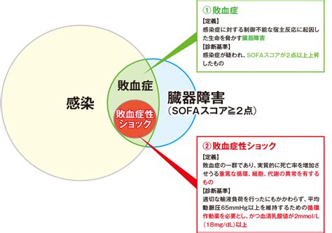敗血症の定義が変更 臓器障害の有無が重要に 看護roo カンゴルー