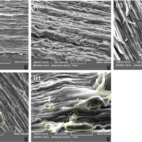 Surface Sem Micrographs Of Fractured Hdpeatt Nanocomposites With