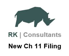 RWC Group LLC Free Bankruptcy Petition Chapter 11 Filing Southern