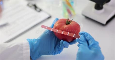 Laboratory Analysis Of Tomato Color Using A Color Chart Stock Footage