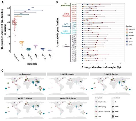 Asgenedb For Functional Profiling Of As Metabolism In Metagenomes From Download Scientific
