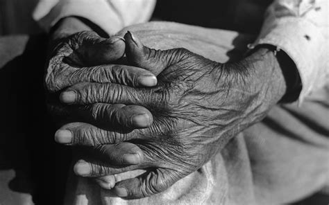 Dare We Compare American Slavery To The Holocaust Aeon Essays