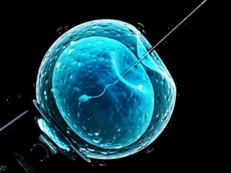 Innovations In Fertility Meet 8 Femtech Companies Revolutionizing