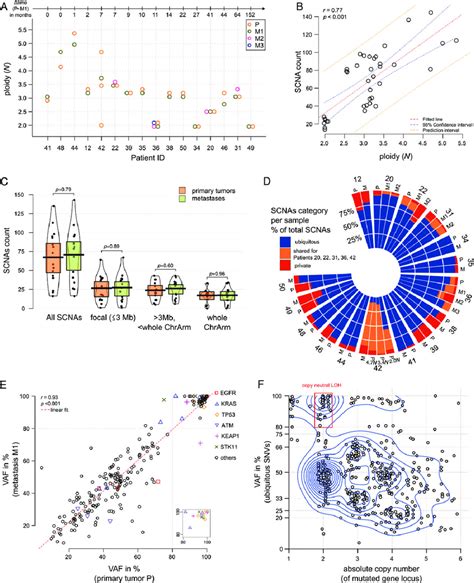 Comparison Of The Somatic Copy Number Aberrations And Mutations Between