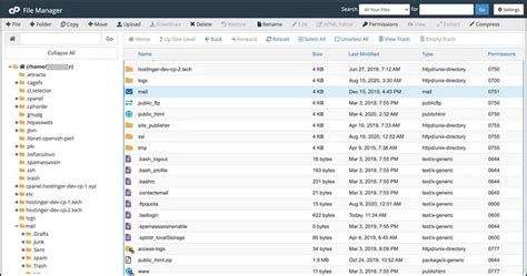 How To Download Emails From Cpanel Account