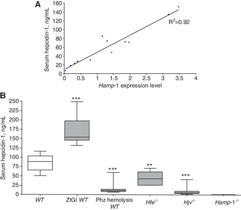 Serum Hepcidin 1 Levels In Various Mouse Models A Correlation