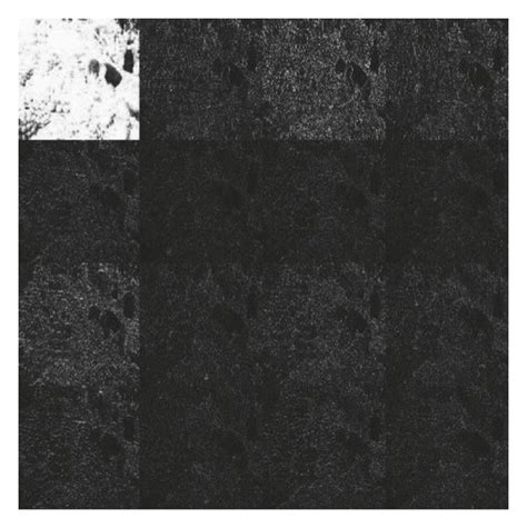 experimental results of multilevel decomposition and reconstruction