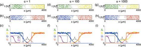 Comparison Of The Full And Reduced Discrete Models A D G Download Scientific Diagram