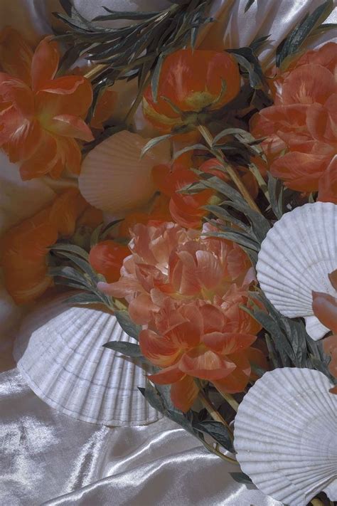 Pin On Evangeline Eve In 2024 Flower Aesthetic Flowers Photography