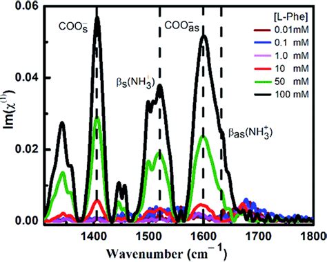 Atr Ftir Absorption Spectra At Znse Water Interface For Various L Phe