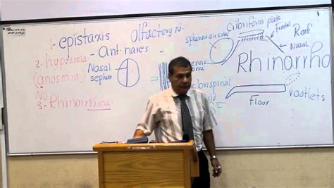 Respiratory System Block Lec1 Prof Wagih Famele Part 4 6 YouTube