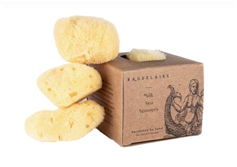 Silk Sponge Set Minka