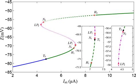 Relationship Between The Equilibrium Potential And The Stimulating