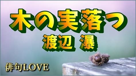 木の実落つ渡辺 瀑 always over the moon
