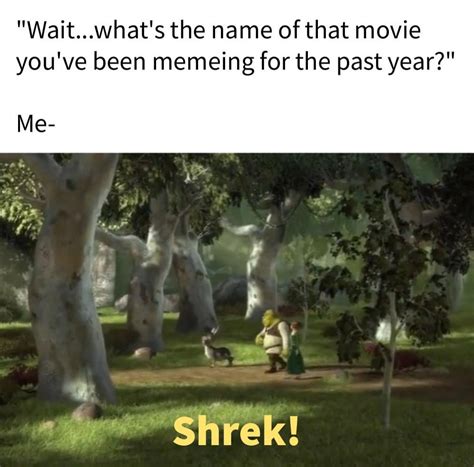 Making A Meme From Every Line In Shrek 2001 Day 456 R Shrekmemes