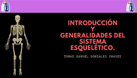 Sistema Esquelético Diapositivas IntroducciÓn Y Generalidades Del