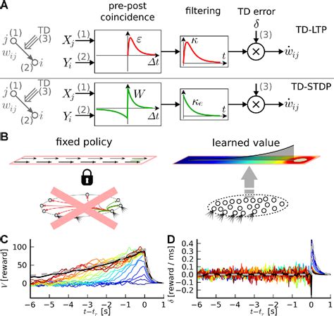 Figure 2 From Reinforcement Learning Using A Continuous Time Actor