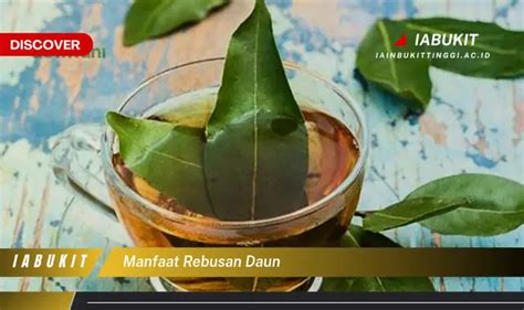 Temukan 7 Manfaat Rebusan Daun Yang Bikin Kamu Penasaran Discover