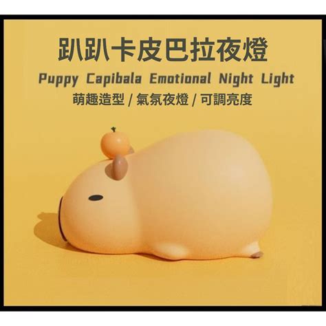 【台灣24h出貨】趴趴卡皮巴拉夜燈 矽膠拍拍燈 水豚燈 小夜燈 卡皮巴拉小夜燈 蓮花燈 豚鼠小夜燈 豚門保佑 Capyb 蝦皮購物