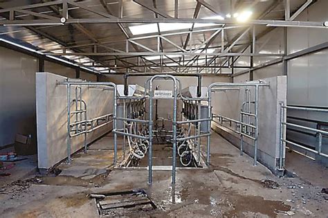 Автоматизация и роботизация в доилните системи за големите ферми Български Фермер