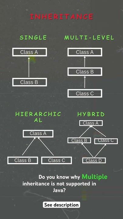Inheritance In Java Coding Java Oopsconcept Inheritance Interview Career Amazon