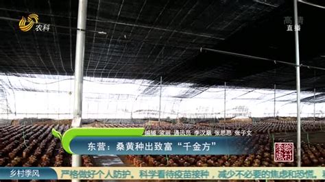 乡村季风农科频道山东网络台齐鲁网