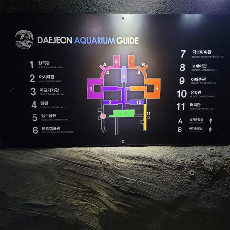 대전 가볼만한곳 볼거리가 많은 대전아쿠아리움 And 대전신세계아쿠아리움 대전엑스포아쿠아리움 한 번에 모아보기 네이버 블로그
