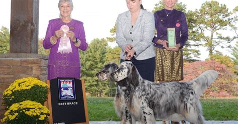 Lynda Chase Moves To Aiken Shows Champion English Setters