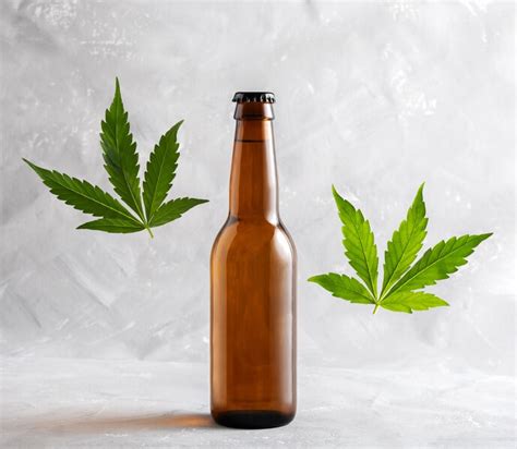 Cerveja De Maconha Como São Feitas E A Situação Legal No Brasil