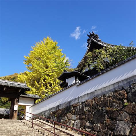 片山 一廣 Kazuhirokatayama • Instagram Photos And Videos