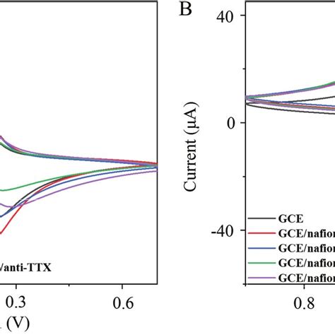 Cyclic Voltammetry Of The Two Electrochemical Immunosensor On Different