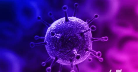 스파이크 하나에 32개 돌연변이코로나 슈퍼 변이 긴장