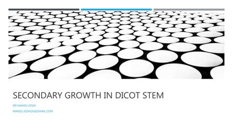 Secondary Growth In Dicot Stem And Root Pdf Secondary Growth In Dicot Stem And Root Pdf