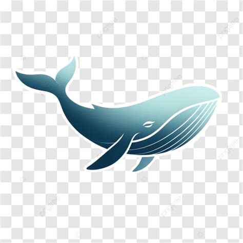 D Whale Sticker Drawing Serenity Huge Easy Whales Whale Sea Whale Jump Png Transparent Image