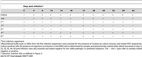 Verification Of The E Chaffeensis Infection Status By Culture And For
