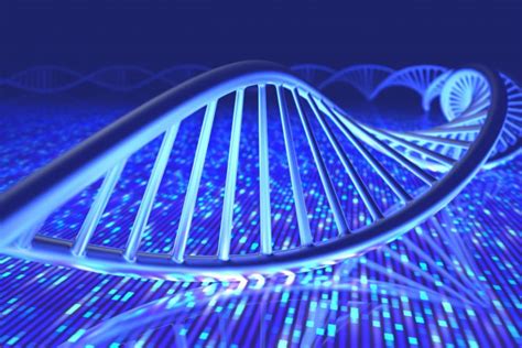 Single Cell Analysis Techniques And Early Diagnosis Of Genetic Diseases