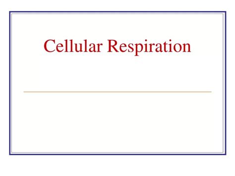 Ppt Cellular Respiration Powerpoint Presentation Free Download Id
