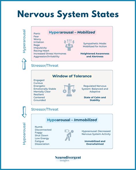 The Autistic And Adhd Nervous System Understanding Dysregulation