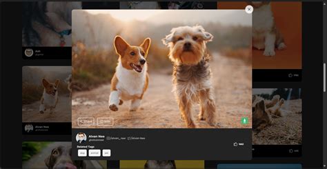 Github Vishalsinghhhimage Gallery