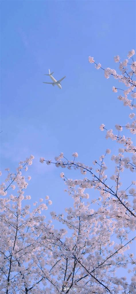 ♡今晚月亮不营业♡聊天背景 手机壁纸 全屏 高清图片,堆糖,美图壁纸兴趣社区 ♡今晚月亮不营业♡聊天背景 手机壁纸 全屏 高清图片,堆糖,美图壁纸兴趣社区