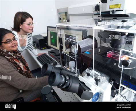 Confocal Light Microscopy Researchers Using A Confocal Light