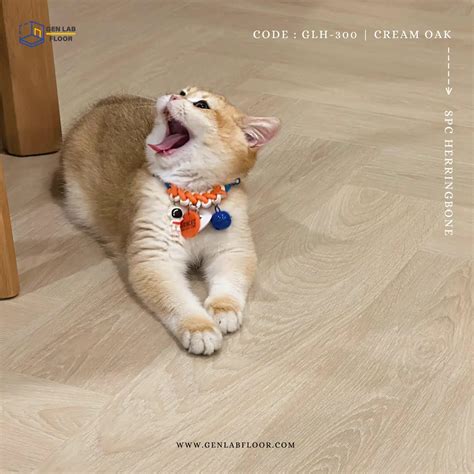 𝑴𝒊𝒏𝒊𝒎𝒂𝒍and𝑪𝒐𝒛𝒚 𝑺𝒕𝒚𝒍𝒆 เรียบง่าย ธรรมชาติ อบอุ่น แกลเลอรีที่โพสต์โดย Genlabfloor Lemon8