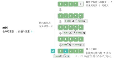 数据结构1《hello 算法》整理hello算法 Csdn博客